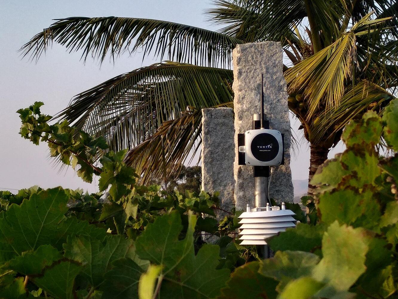 Yuktix GreenSense - Smart Sensing solution for Vineyards - Team up ...